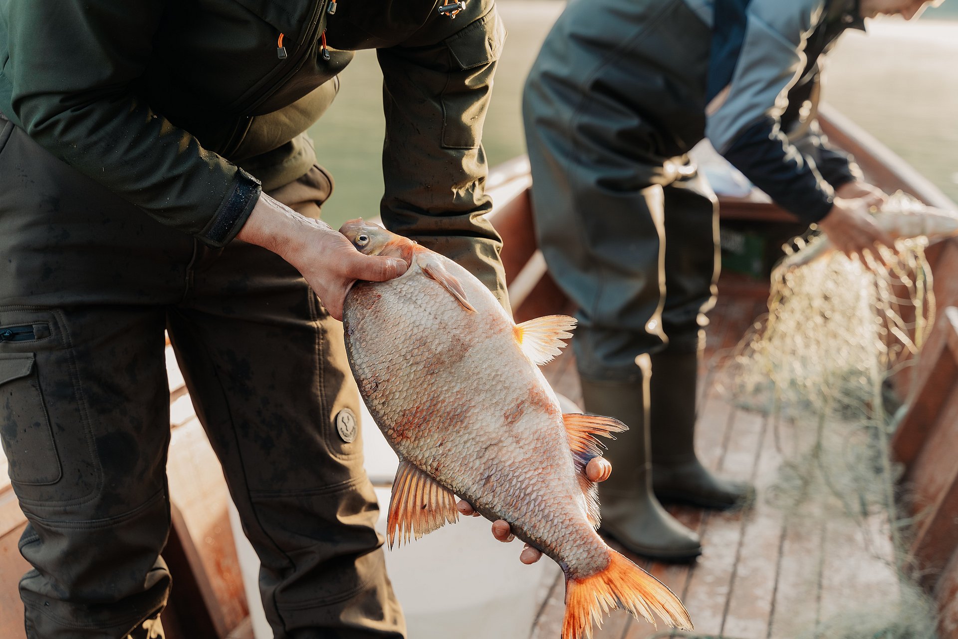 Fishing in the Danube region